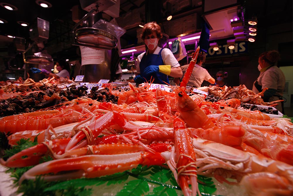 Marisco Selecto. Pescado fresco y Marisco vivo del Cantábrico ...